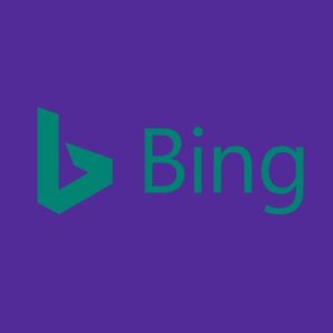Bing Purple | MandarinMania.com